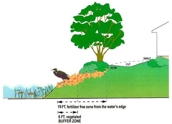 Lakefront Berms and Swales – Johns Lake Association